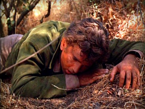 Bonanza Brand FanFiction Library – Stories written by fans of the TV ...